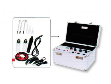 4 in 1 Multifunction Skin Care + Facial Machine – TopSpaSupply.com